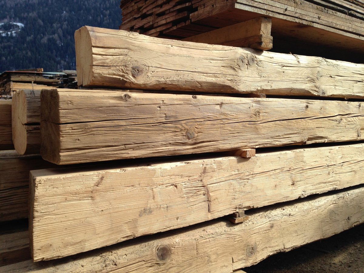 TRAVI – woodpartner